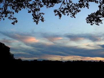 Woking - BBC Weather