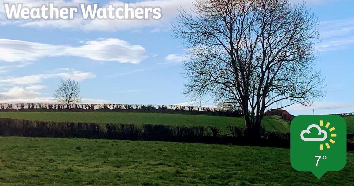 Report - BBC Weather Watchers