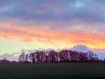 Arbroath - BBC Weather
