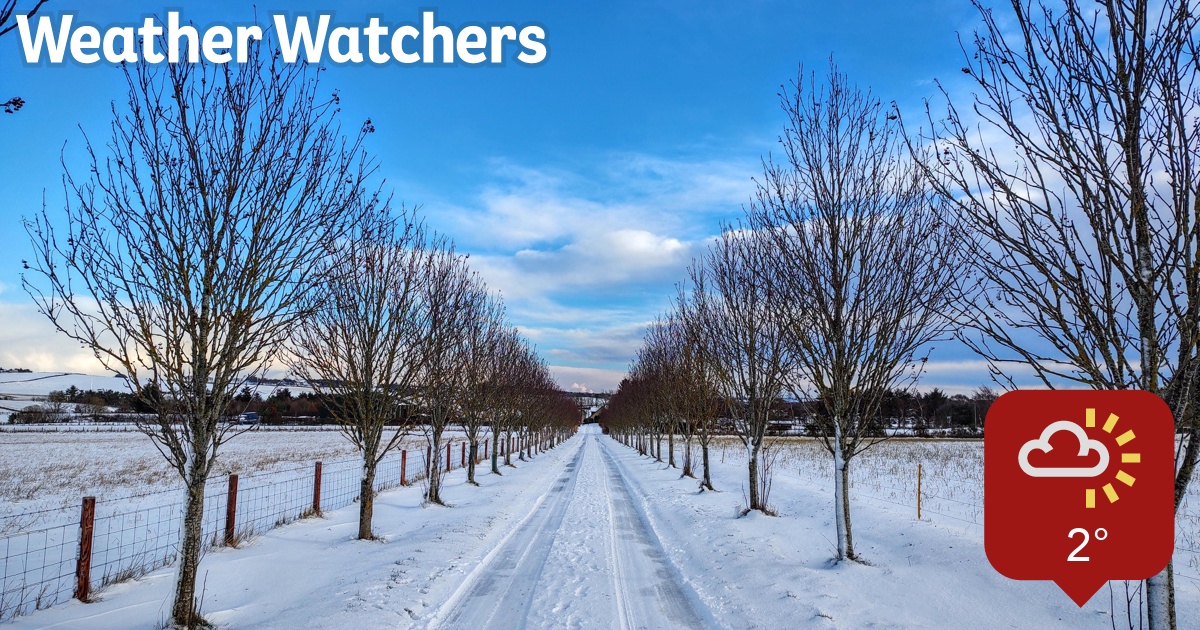 Report - BBC Weather Watchers