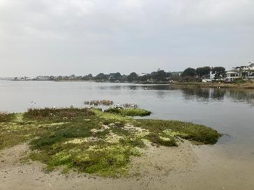 Basingstoke - BBC Weather