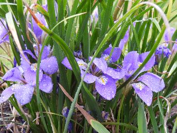 Worksop - BBC Weather