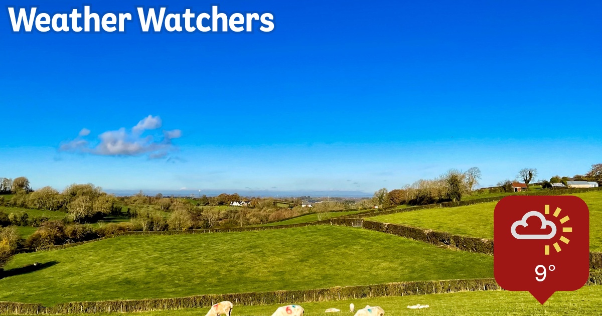 Report - BBC Weather Watchers