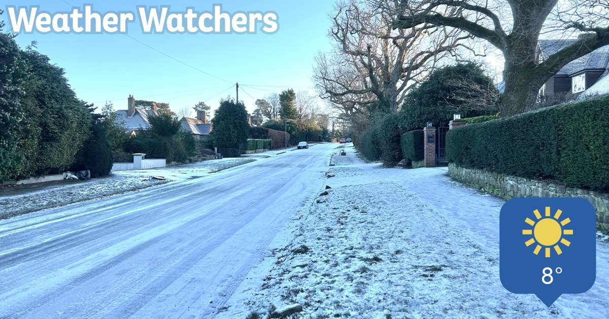 Report - BBC Weather Watchers