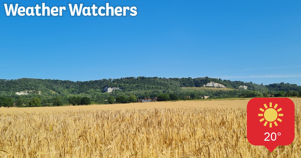 Report - BBC Weather Watchers