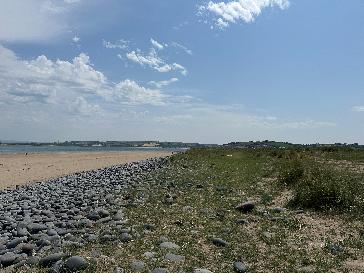 Exeter Airport - BBC Weather