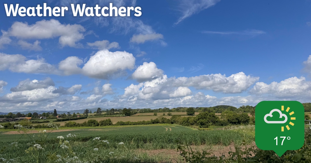 Report - BBC Weather Watchers