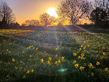 Peterborough - BBC Weather