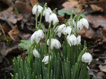 Pershore - BBC Weather
