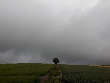 Colchester - BBC Weather