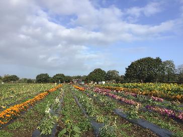 Winchester - BBC Weather
