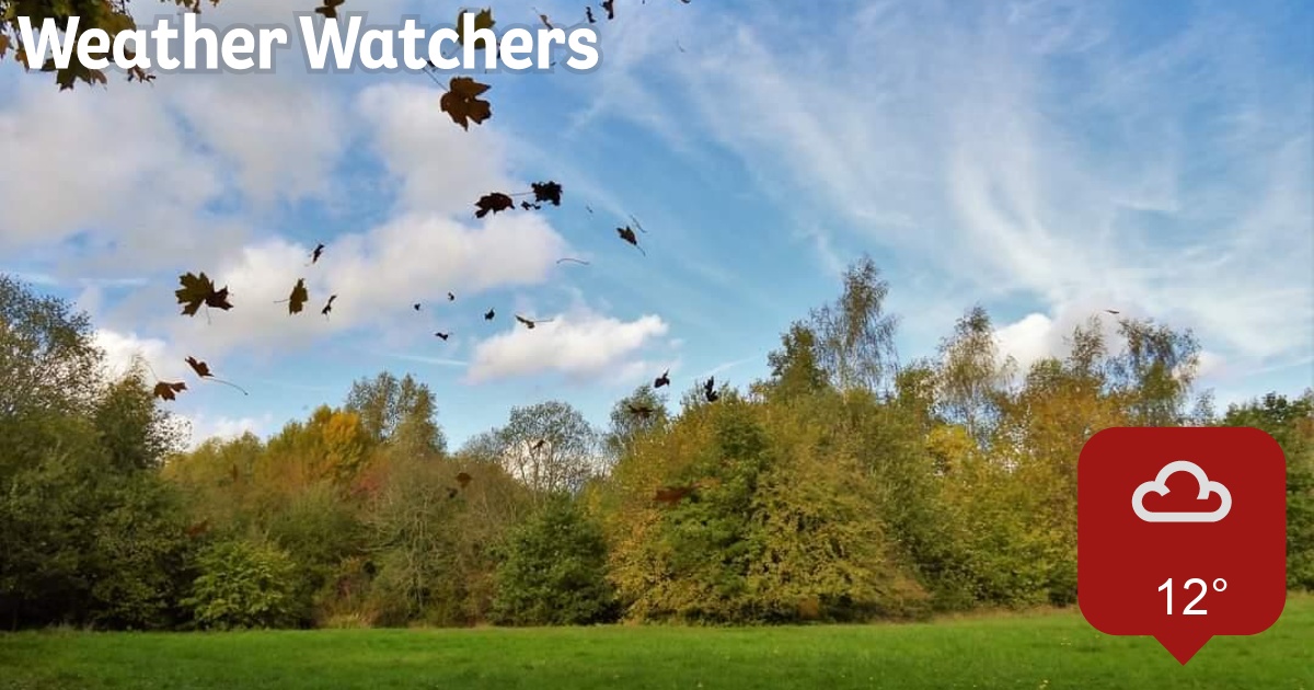 Report - BBC Weather Watchers