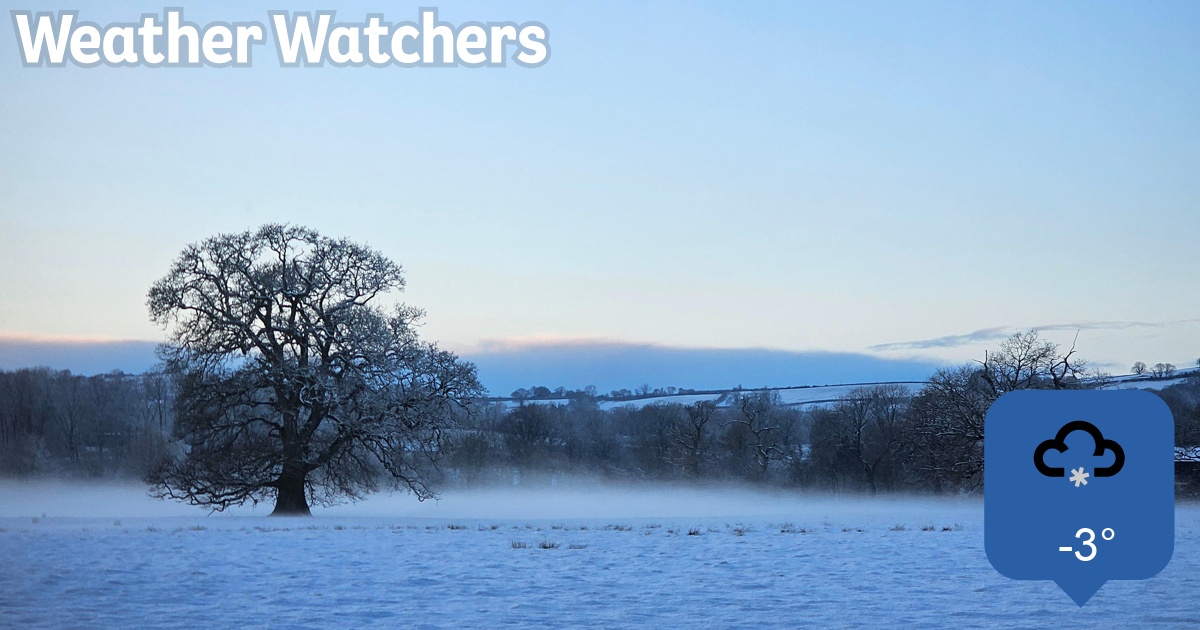 Report - BBC Weather Watchers