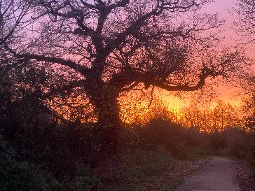 Witham - BBC Weather