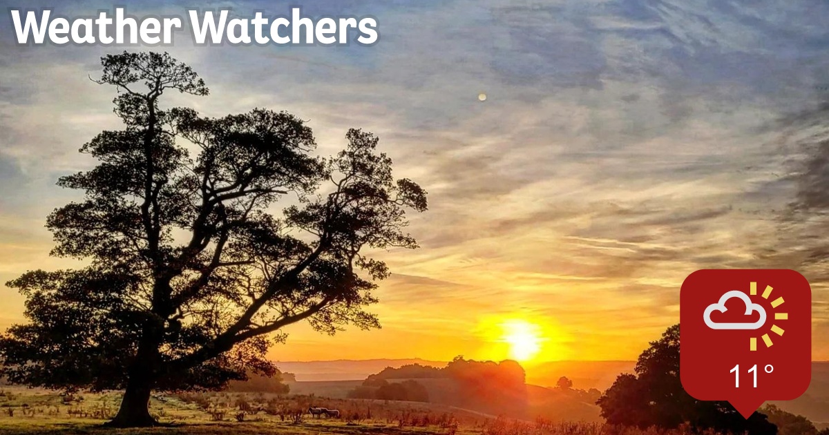 Report - BBC Weather Watchers