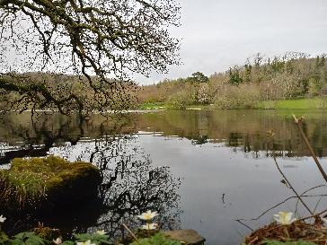 Warrenpoint - BBC Weather