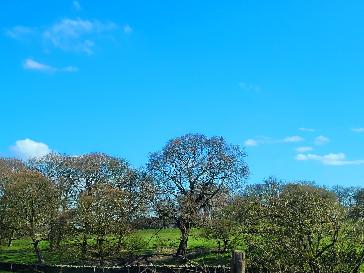 Hatfield - BBC Weather