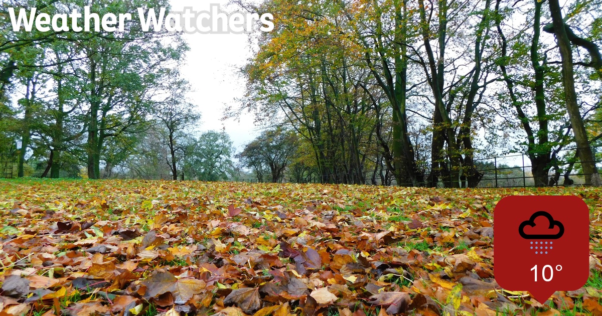 Report - BBC Weather Watchers