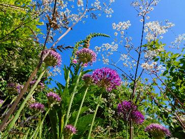 Immingham - BBC Weather