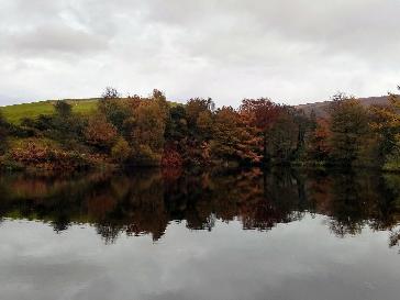 Leyland - BBC Weather