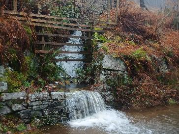 Carlisle - BBC Weather