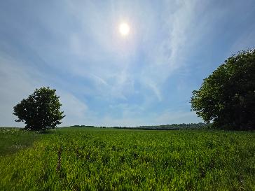 Fawley - BBC Weather