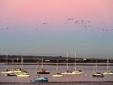 Basingstoke - BBC Weather