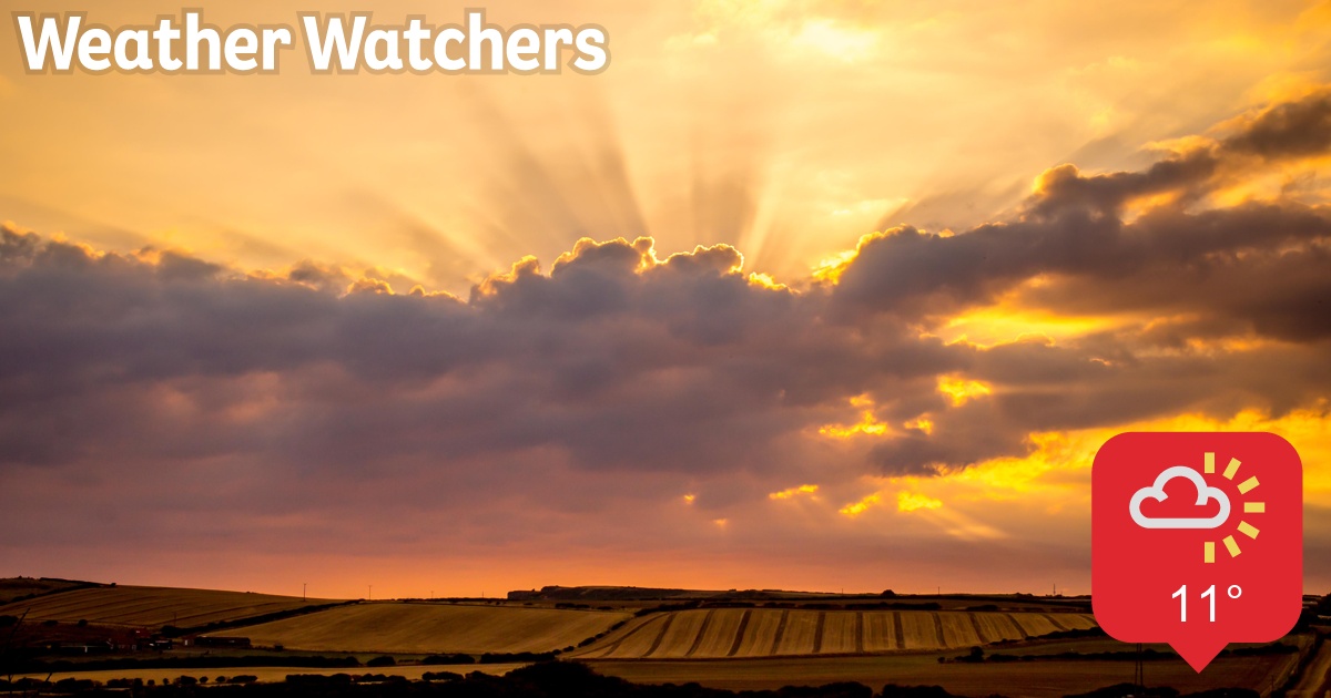 Report - BBC Weather Watchers
