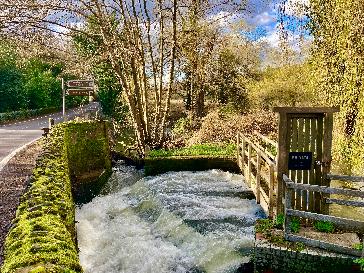 Camberley - BBC Weather