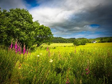 Irvine - BBC Weather