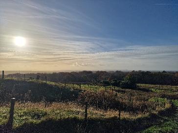 Preston - BBC Weather