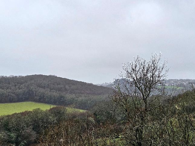 Report - BBC Weather Watchers