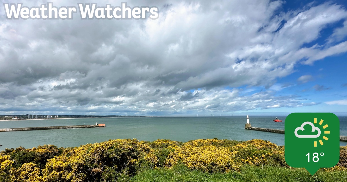 Report - BBC Weather Watchers