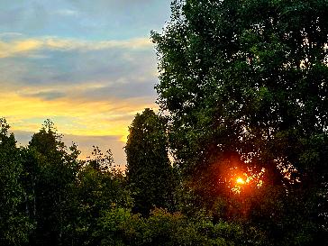 Guildford - BBC Weather