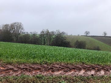 Exeter Airport - BBC Weather