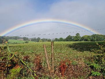 Upper Basildon - BBC Weather