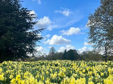 Hayes (Bromley) - BBC Weather