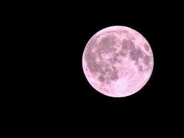 Barking - BBC Weather