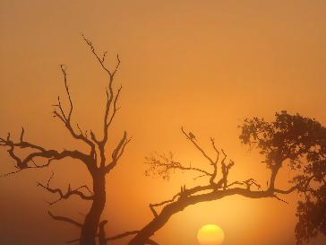 Swindon - BBC Weather