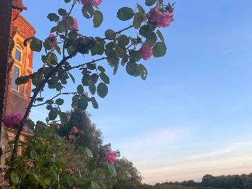 Woking - BBC Weather