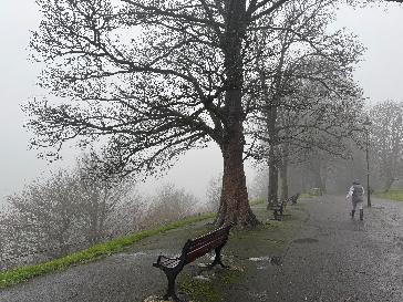 Dorchester - BBC Weather