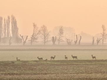Chippenham - BBC Weather
