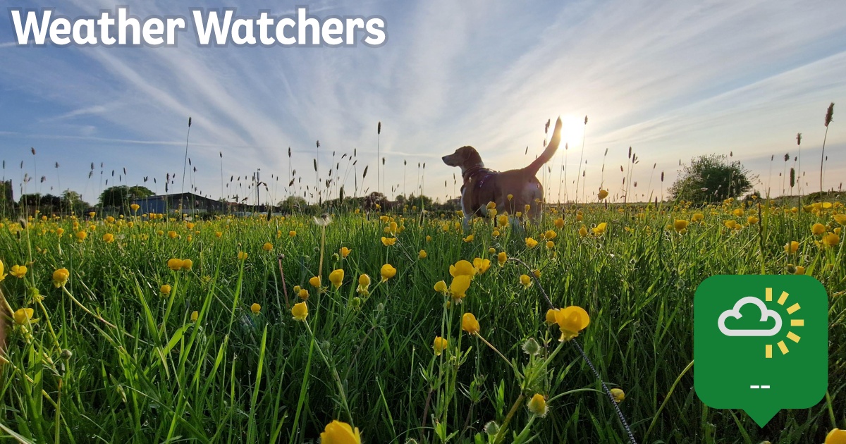 Report - BBC Weather Watchers