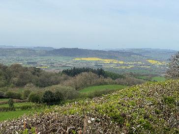 Redditch - BBC Weather