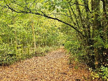 Cottenham - BBC Weather