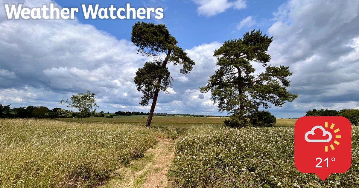 Report - BBC Weather Watchers