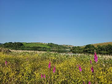 Torquay - BBC Weather
