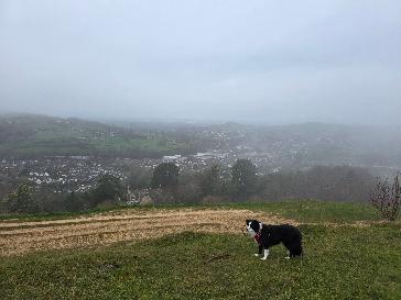 Tewkesbury - BBC Weather