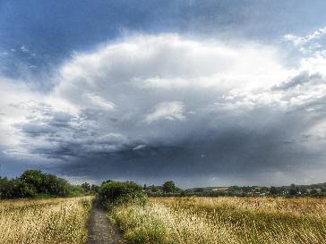 Harlow - BBC Weather