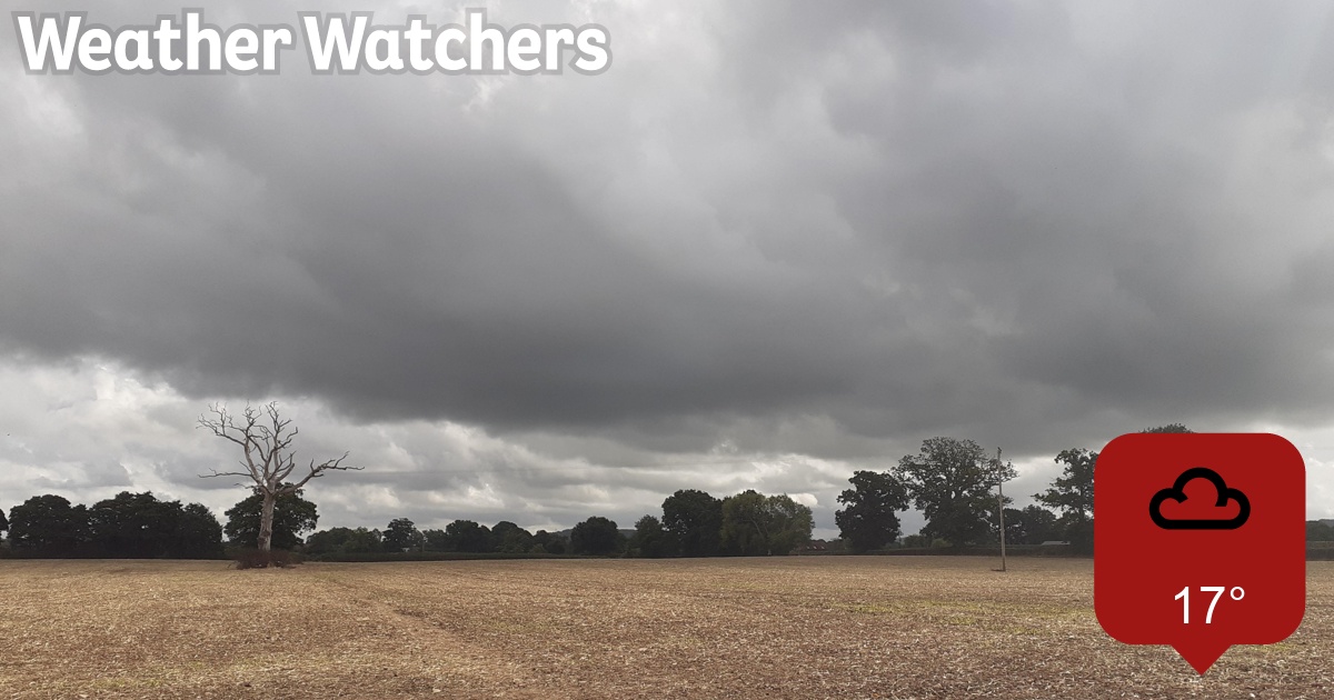 Report - BBC Weather Watchers